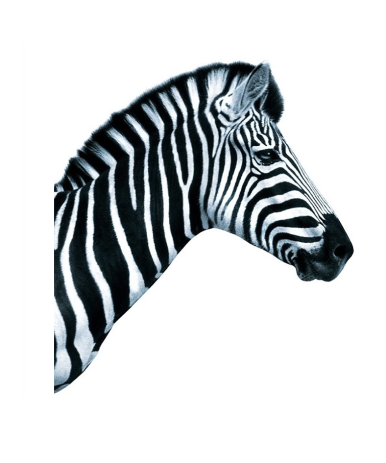 Fund Managers – Fundhub